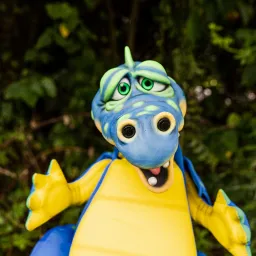 About Tansy | Upstate, South Carolina